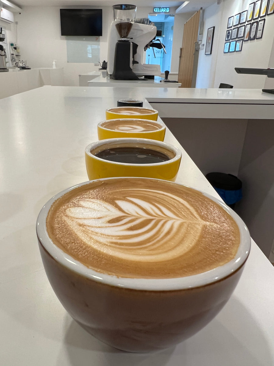 Beginners' Guide to Espresso – Emery School of Coffee